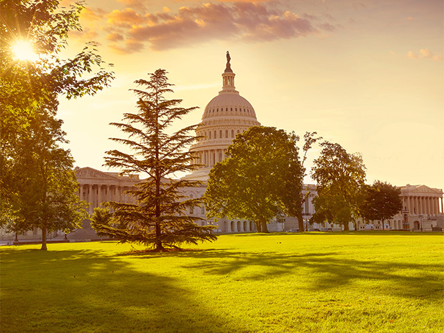 About the Charitable Community — Independent Sector