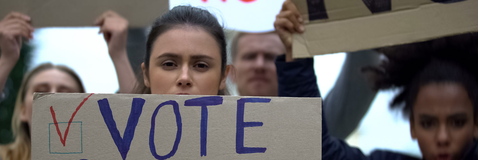 Voter Mobilization — Independent Sector