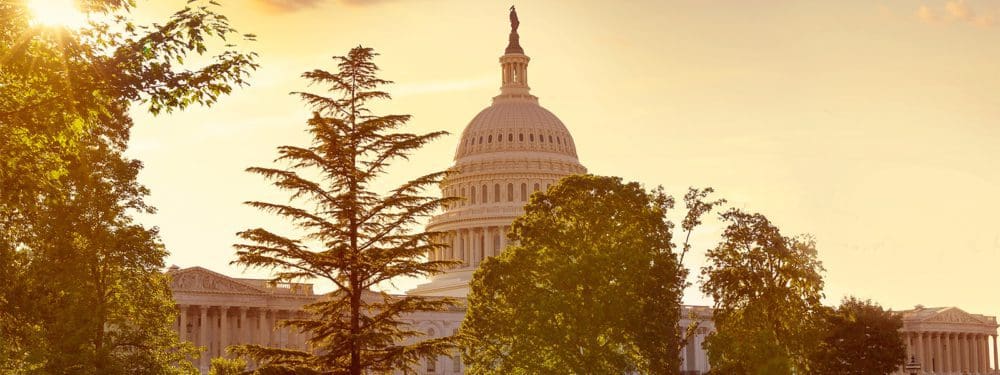 In Service of People, Not Politics - Independent Sector