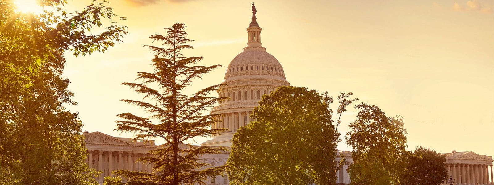 Nonprofit Advocacy Heats Up as Congress Returns - Independent Sector
