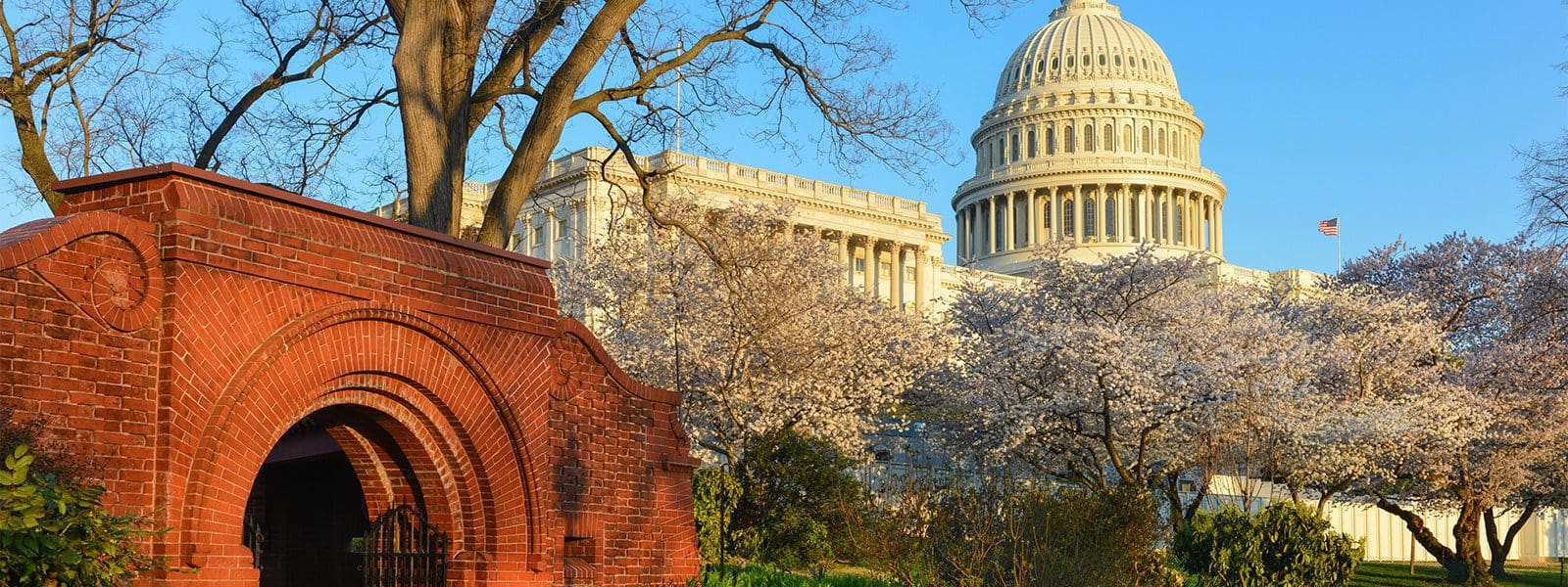 The 115th Congress Opens for Business with Ambitious Agenda ...