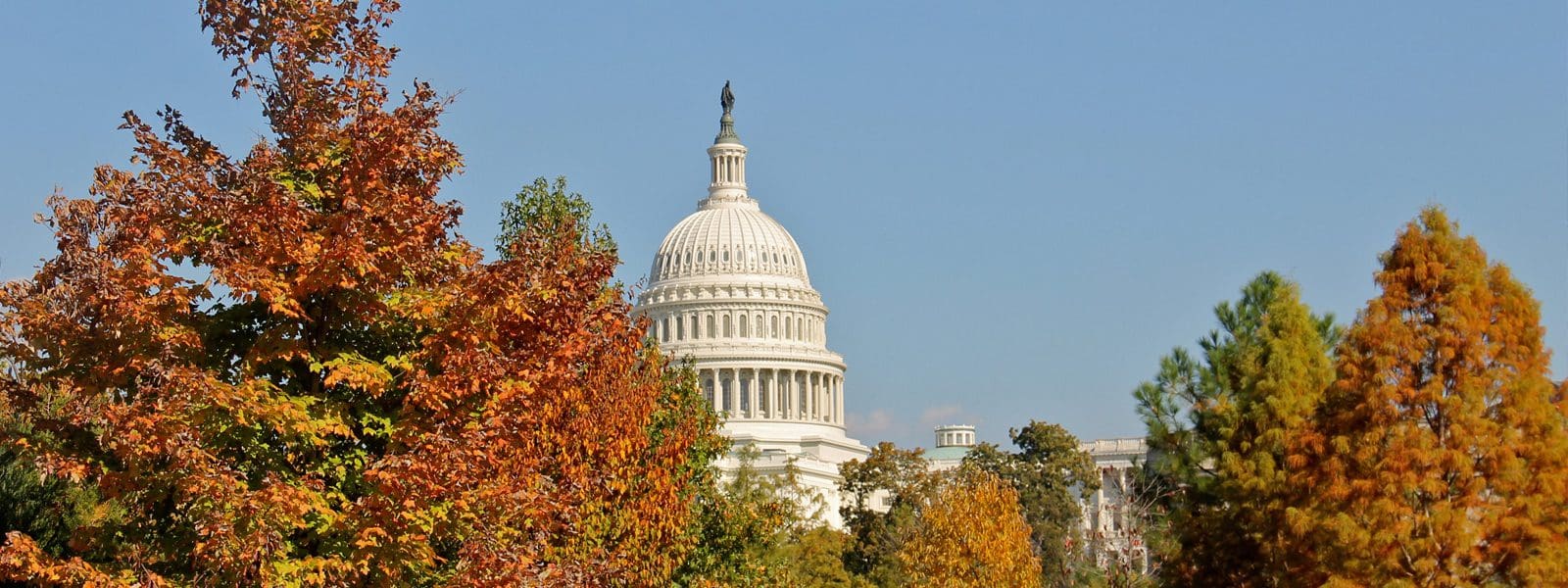 The DC Download – September 2018 - Independent Sector