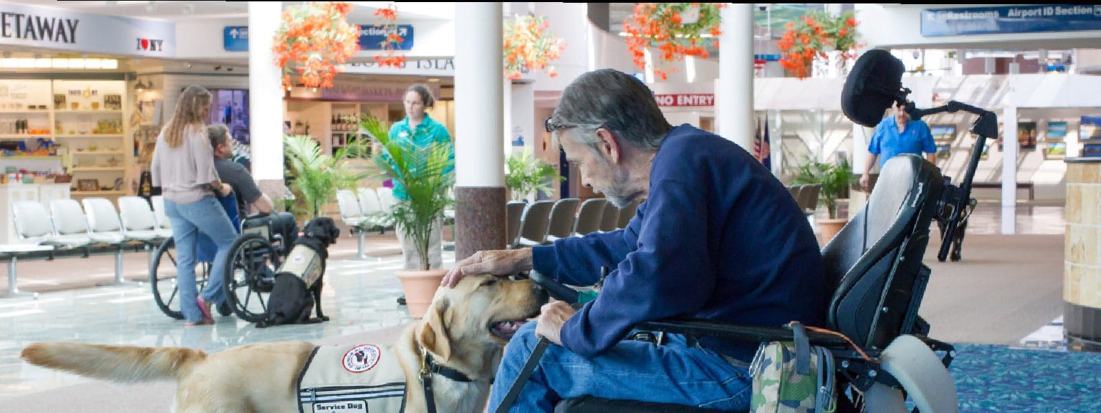 Engaging Donors and Sharing Stories: GivingTuesday Insights From Guide ...