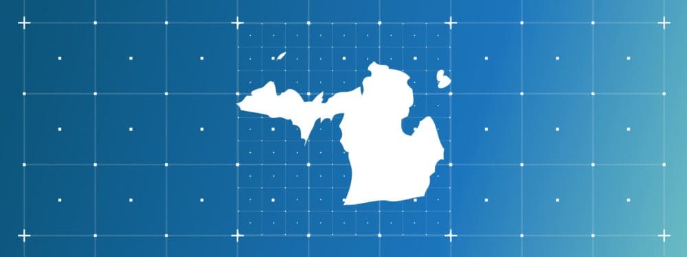 State Profile – Michigan - Independent Sector